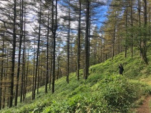 Hiking matters #631: Mt. Daibosatsu (大菩薩嶺) in Yamanashi, Japan – Pinoy Mountaineer